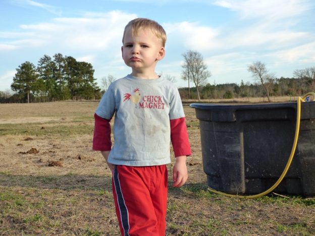 Farming - Shady Grove Ranch